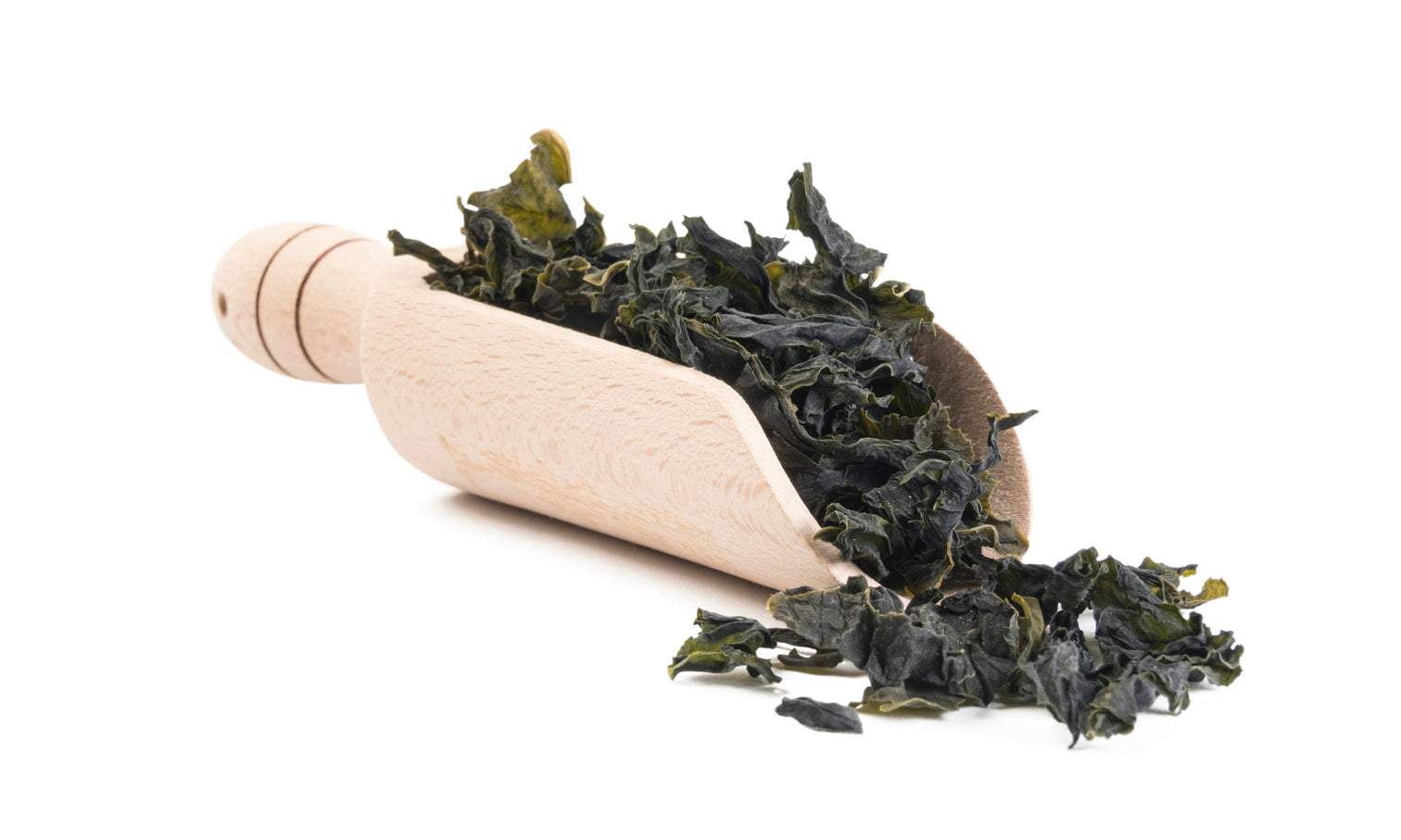 Seaweed Shampoo | Super Nutrient – Cornish Seaweed Bath Co. – The ...