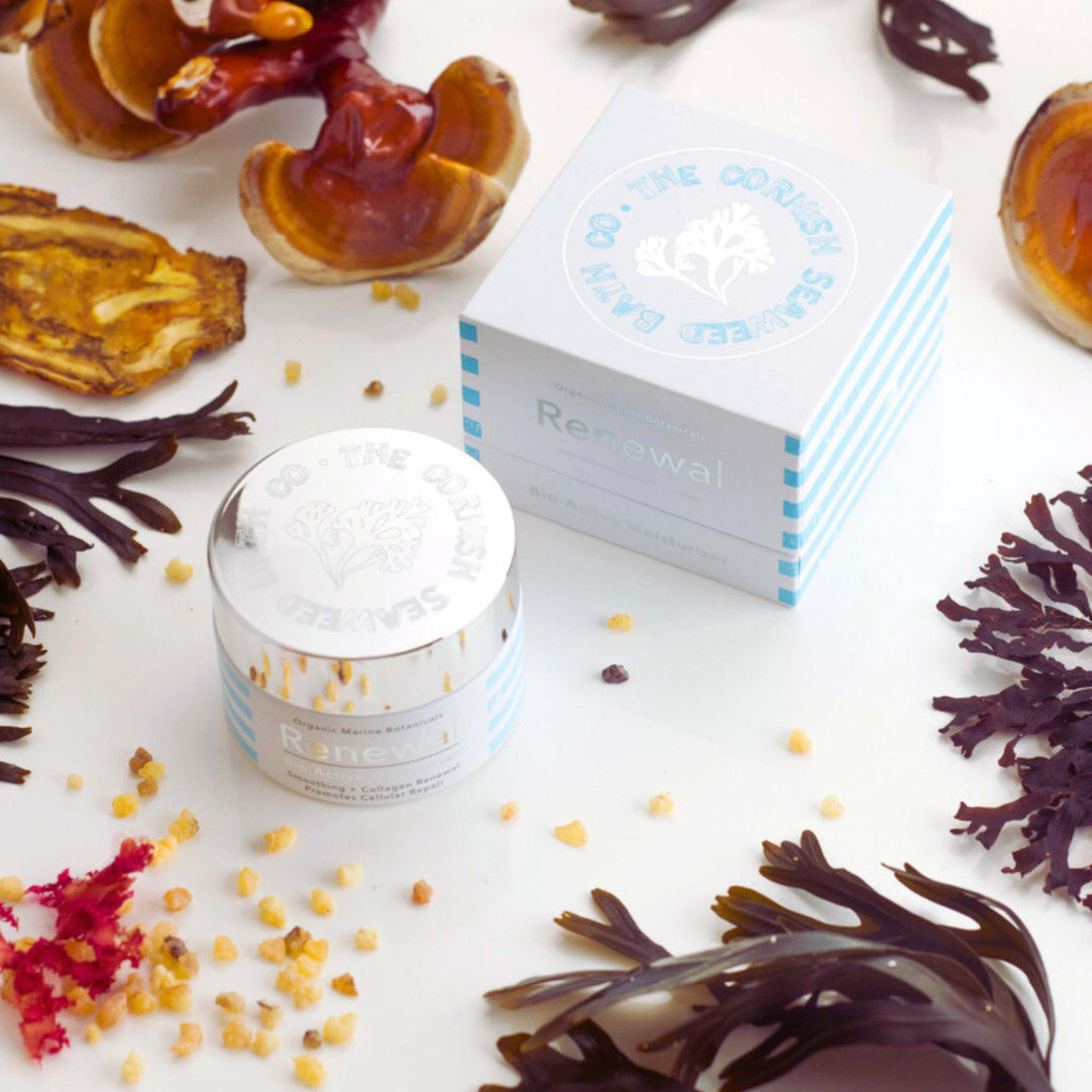 Renewal Bio-Active Moisturiser | Natural Seaweed Skincare – The Cornish ...