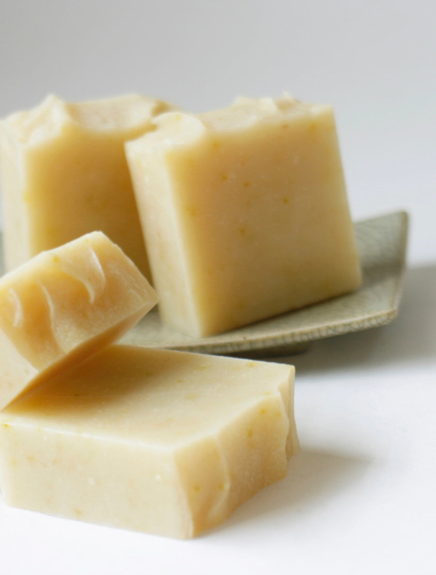 Seaweed Soap Collection | Natural Cornish Soaps for Skin Wellness – The ...